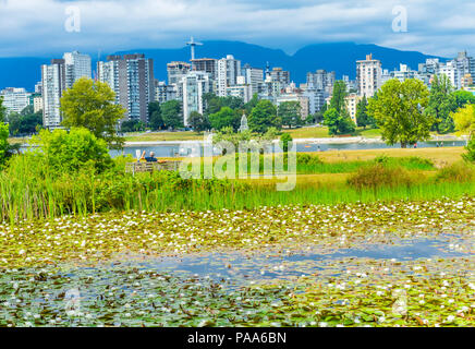Pond, Vanier Park, Vancouver, British Columbia, Canada Stock Photo - Alamy