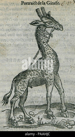 The 'Portrait de la Giraffe' by Pierre Belon, created in 1554, is a ...