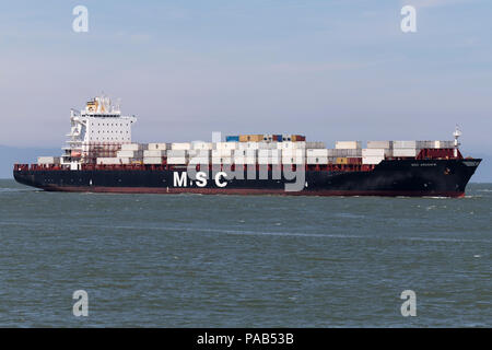 The world's largest cargo ship MSC Loreto docked at the Port of ...