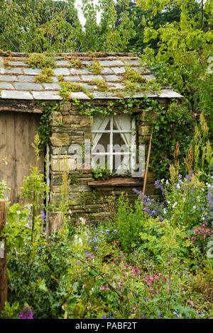 A beautiful garden of different species of flourishing flowers Stock ...