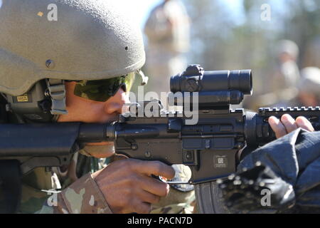 U.S. Army 1st Sgt. Endesha Johnson, and Spc. Lisa Soy, both assigned to ...