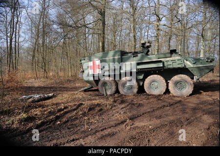 A M1133 Stryker, Medical Evacuation Vehicle of the 2nd Stryker Cavalry ...
