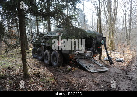 A M1133 Stryker, Medical Evacuation Vehicle of the 2nd Stryker Cavalry ...