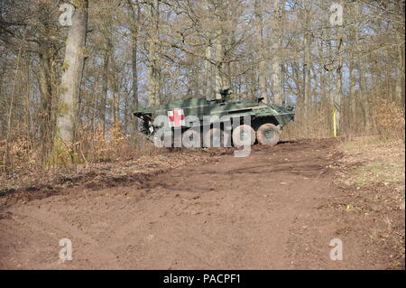 A M1133 Stryker, Medical Evacuation Vehicle of the 2nd Stryker Cavalry ...