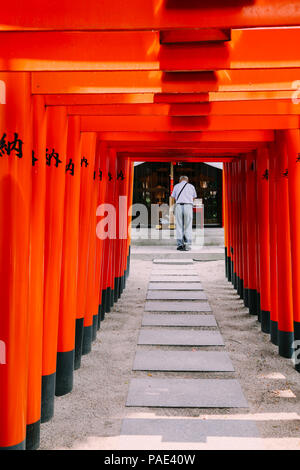 Red traditional Japanese temple torii gates architecture at the Fushimi ...