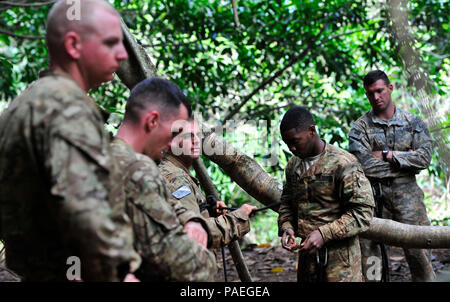 Students at the 25th Infantry Division Lightning Academy's Jungle Stock ...