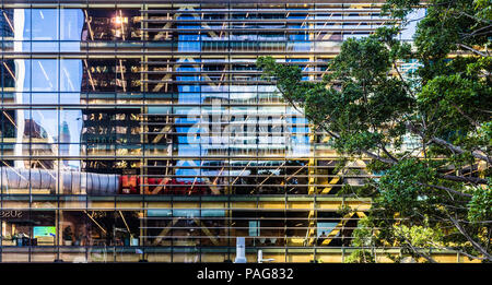 International House at Barangaroo, the Sydney home of Accenture. A ...
