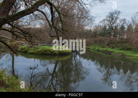 The Istra River near the city of Moscow in late autumn Stock Photo - Alamy