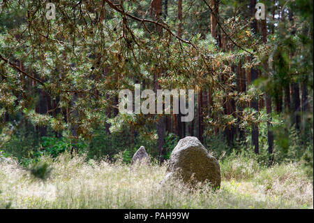 'Stone Circles' reserve. Wielbark culture graveyard (1st. century) of ...