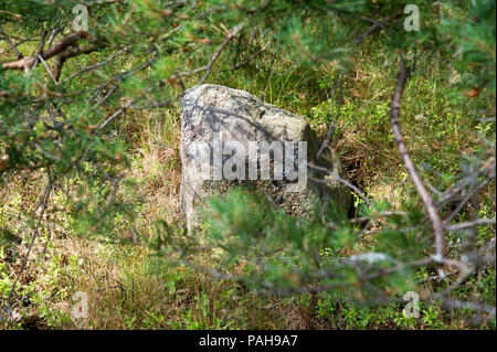 'Stone Circles' reserve. Wielbark culture graveyard (1st. century) of ...