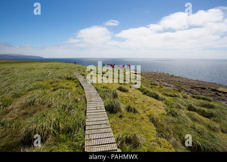 New Zealand, Auckland Islands. South Pacific Ocean coastal view of ...
