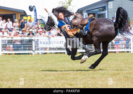 Atkinson Action Horses at the New Forest and Hampshire County Show in ...