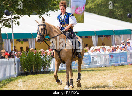 Atkinson Action Horses at the New Forest and Hampshire County Show in ...