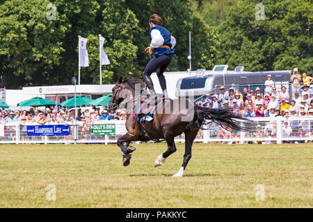 Atkinson Action Horses at the New Forest and Hampshire County Show in ...
