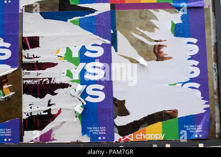 Hackney, London. Torn rainbow coloured posters for Gay website, Chappy ...