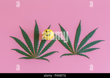 The concept. cannabis increases mood. cannabis, marijuana and a smile ...