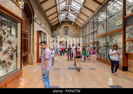 LONDON, ENGLAND - JUL 23, 2016: Interior of the Natural History Museum ...
