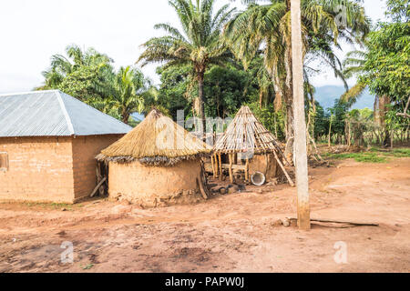 A rural dwelling comprising of mud made houses and surrounded by palm ...