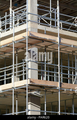 Construction workers build a scaffold around the 2012 Rockefeller ...