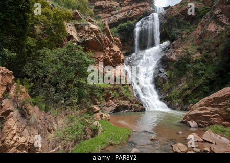 Witpoortjie Waterfall, Walter Sisulu National Botanical Gardens ...