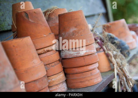 Old terra cotta pots on a wooden background Stock Photo - Alamy