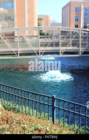 Harvard campus scenery Stock Photo - Alamy