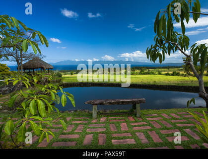 View of the sea and vibrant green rice field, from a native hut called ...
