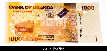 Uganda 1000 Shilling bank note Stock Photo - Alamy