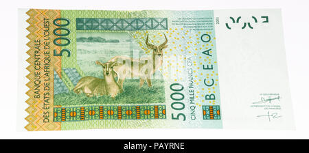 5000 CFA franc bank note. CFA franc is used in 14 African countries ...