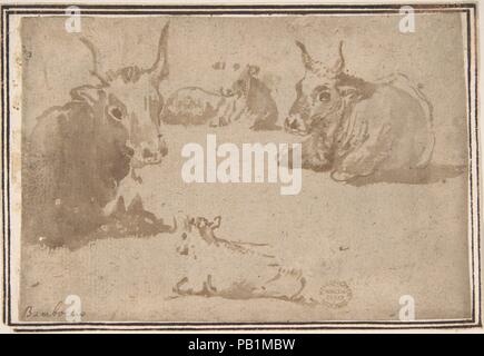 Studies of Cattle Stock Photo - Alamy