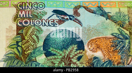 5000 Costa Rican colones bank note. Colones is the national currency of ...