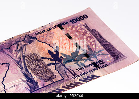 10000 Ugandan shillings bank note. Ugandan shilling is the national ...