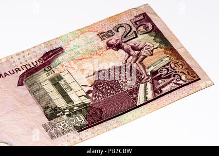 25 Mauritian rupees bank note. Mauritian rupee is the main currency of ...
