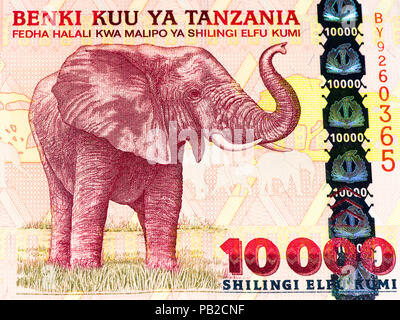 Tanzanian Banknote. 10,000 Shillings, Elephant on front, Bank of Stock ...