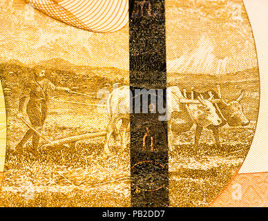 50 Ethiopian birr bank note. Birr is the national currency of Ethiopia ...