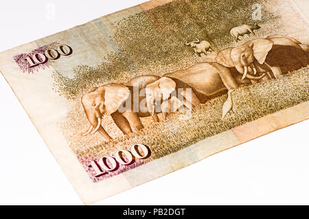 1000 Kenyan shillings bank note of Kenya. Kenyan shilling is the ...