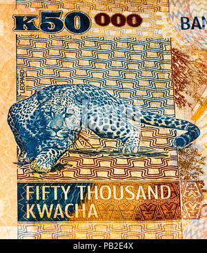 50000 Zambian kwach bank note. Zambian kwacha is the national currency ...
