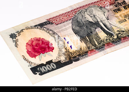 1000 Nepalese rupee bank note. Nepalese rupee is the national currency ...