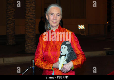 Jane Goodall arriving at the Jules Verne Adventure Film Festival ...