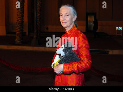 Jane Goodall arriving at the Jules Verne Adventure Film Festival ...