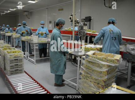 Kandahar, Afghanistan. 26th July, 2018. People work at Kanda fruit ...
