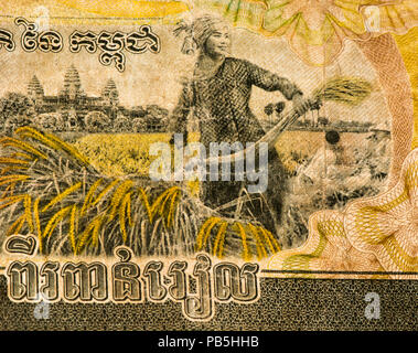 2000 Cambodian riels bank note. Riel is the national currency of ...