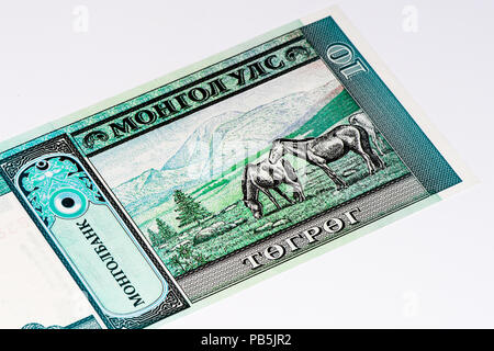 10 togrog bank note. Togrog is the national currency of Mongolia Stock ...