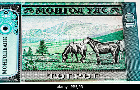 10 togrog bank note. Togrog is the national currency of Mongolia Stock ...