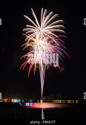 Beautiful shot of firework which lights up the sky with a dazzling ...
