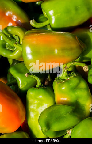 Fresh red pepper found at the market stand Stock Photo - Alamy