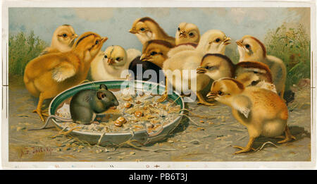 The Intruder (Boston Public Library Stock Photo - Alamy