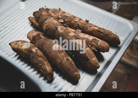 Cassava (Manihot esculenta) (Spanish: mandioca, Guarani: mandi'o ...