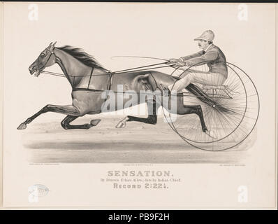Sensation: by Dixon's Ethan Allen, dam by Indian Chief Stock Photo - Alamy