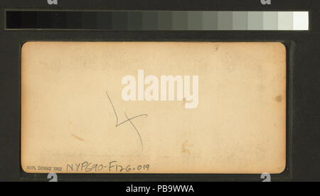 Orange Tree on Stowe Estate Orange Tree on Stowe Estate.; Orange Tree ...